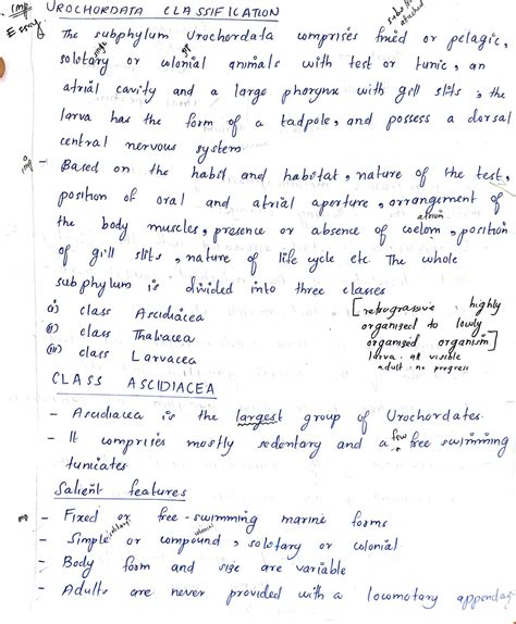 Solution Urochordata Classification Studypool