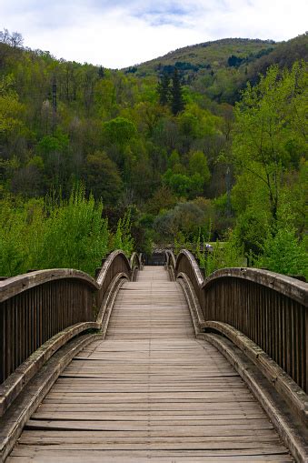 Castellfollit De La Roca 마을의 초목으로 둘러싸인 아치가 있는 목조 다리 가로트하에 대한 스톡 사진 및 기타 이미지 Istock
