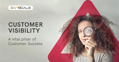 How Customer Visibility Drives Customer Success Zapscale