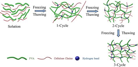 The Schematic Preparation Process Of Cellulosepva Composite Download