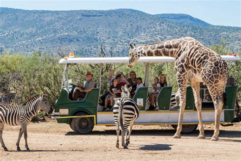 Best Safari Park Winners 2019 Usa Today 10best