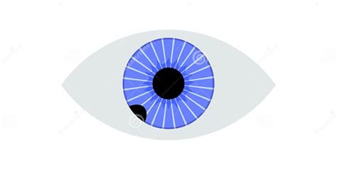 Iris Melanoma Anatomy Stock Vector Illustration Of Ocular 327842183