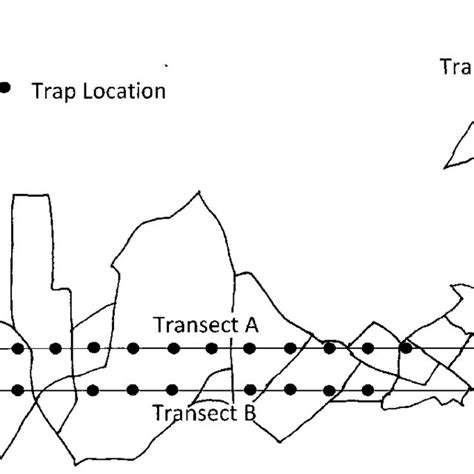 Spatial Distributions Of Transects Sampling Points And Field Download Scientific Diagram
