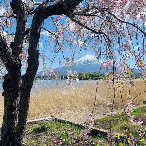 Vitamin House Mongolia Хүүхдийн өсөлтийн витамин дотор ямар ямар найрлага байдаг бол 🤔🤔 гэж