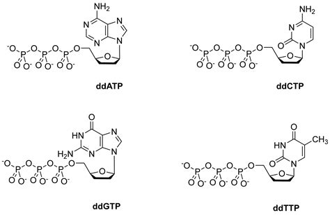Readiuse™ Ddntp Terminator Mix 10 Mm Aat Bioquest