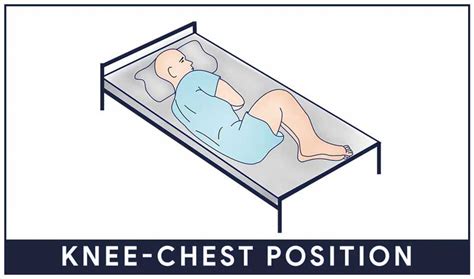 Knee Chest Position Adalah Pengertian Arti Dan Definisinya Wmcs