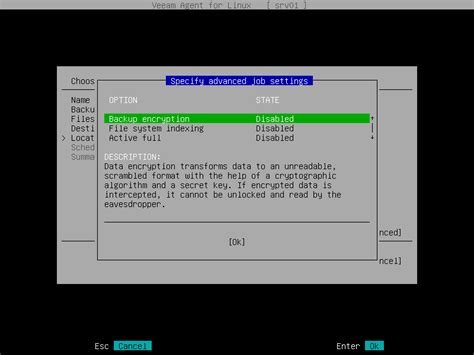 Step 8 Specify Advanced Backup Settings Veeam Agent For Linux User Guide