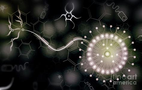 Understanding Mcp Neurons The Building Blocks Of Neural Networks