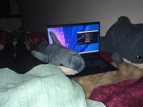 Average Linux User Runixsocks