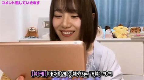 겨티쉬가 궁금한 일본 여 유튜버 유머 움짤 이슈 에펨코리아