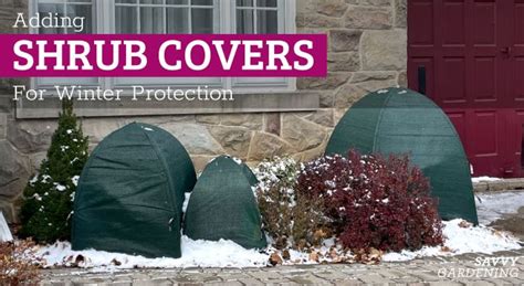 Winter Shrub Covers Protect Shrubs From Weather And Wildlife