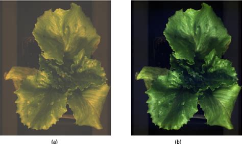 Figure 5 From A Comprehensive Review Of 3d Convolutional Neural Network Based Classification