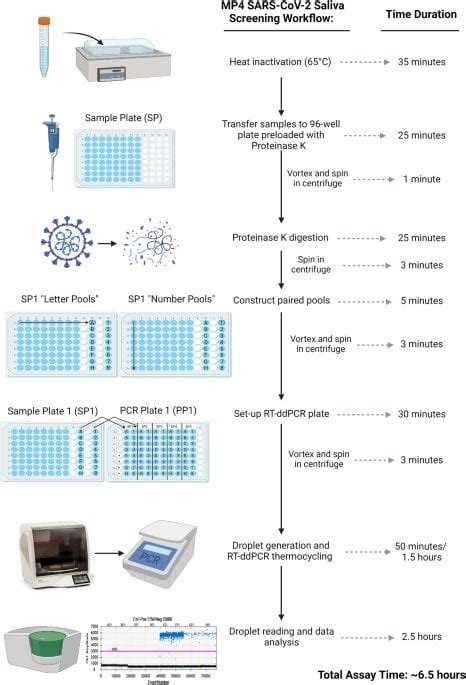 A Multiplexed Paired Pooled Droplet Digital Pcr Assay For Detection Of