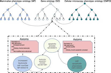 Interlinked Knowledge Between Ontologies Download Scientific Diagram