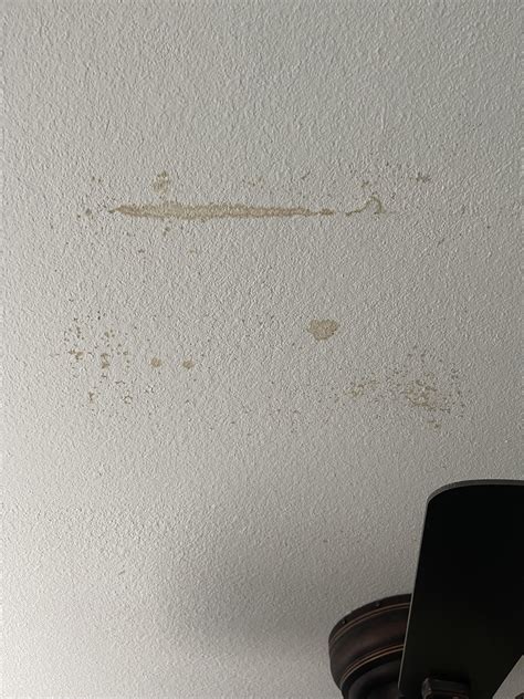 Semper Solaris R Solar