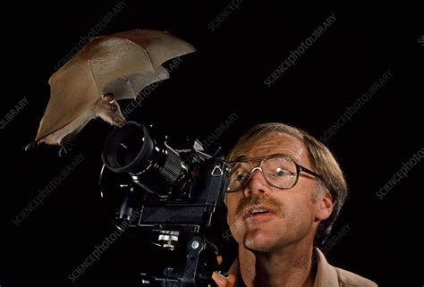 Dr Merlin Tuttle With An Epauletted Bat Stock Image C0339092 Science Photo Library