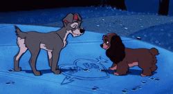 Lady And The Tramp S Download And Share