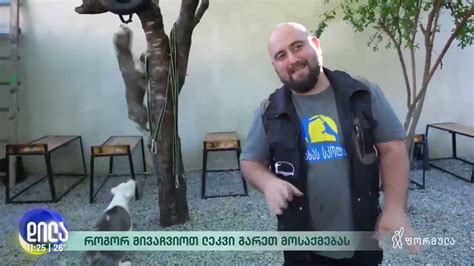 🐶 როგორ გადავაჩვიოთ ლეკვი სახლში მოსაქმებას Youtube