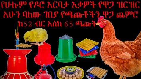 ዶሮ እርባታ ለመጀመር ሟሟላት ያለባችሁ እቃዎች እና ዋጋቸው በሁን ባለው ገበያ የጫጬቶችን ዋጋ ጨምረንበታል