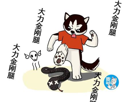 後院闖入眼鏡蛇，狗狗為保護主人挺身而出，隨後卻倒地不起 每日頭條