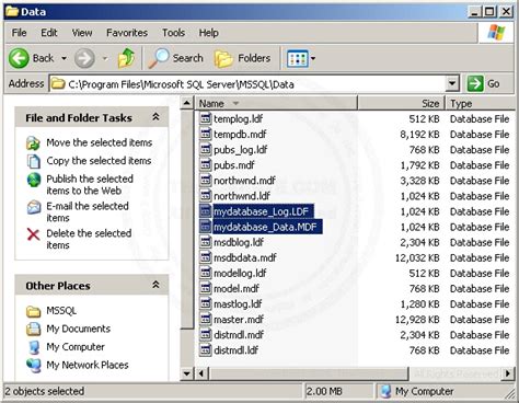 Database Sql Server Exportbackup