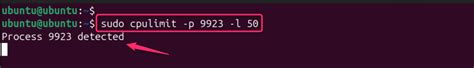 How To Limit Cpu Usage Of A Process In Linux With Cpulimit With Examples