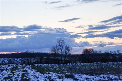 들판에 눈이 살짝 쌓인 겨울 풍경 구도의 중앙에는 잎이 없는 고독한 나무가 구름이 있는 황혼의 하늘을 배경으로 서 있습니다 0명에 대한 스톡 사진 및 기타 이미지 Istock