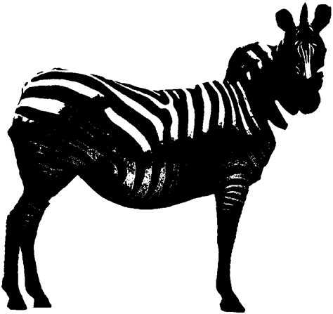 Color Image Watershed Segmentation Method Based On Power Law Distribution Eureka Patsnap
