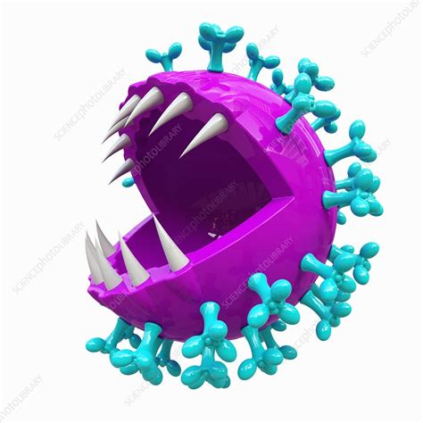 Coronavirus Capsid Conceptual Illustration Stock Image C0491887