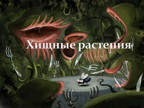 Хищные растения - презентация онлайн