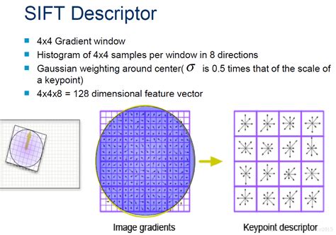 Sift算法详解 Csdn博客