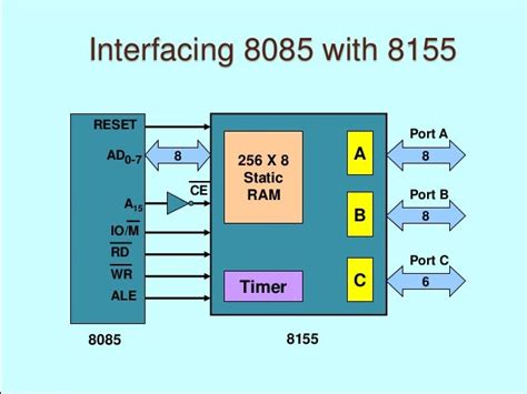 8155 Gppi