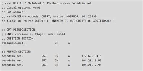 dig command in linux with useful examples