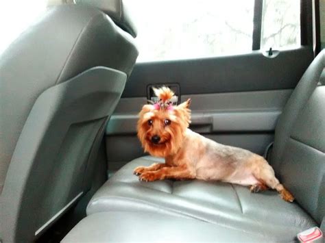 Pin By Princess Wunstel On Princess Cheryl Cheryl Princess