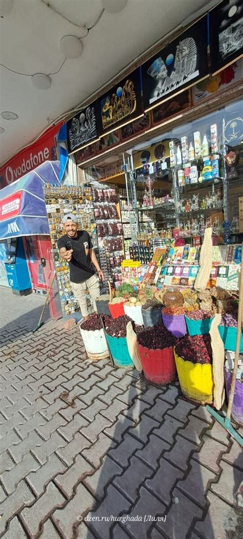 Приостановлена выдача приглашений и виз в Россию для граждан Египта Лиля Египет Дзен