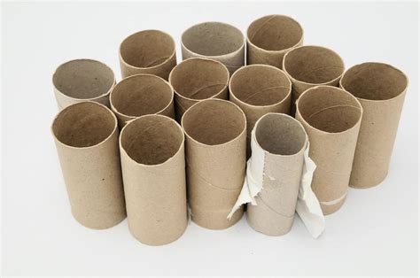 Toilet Paper Tube Crafts For Adults Single Girls Diy
