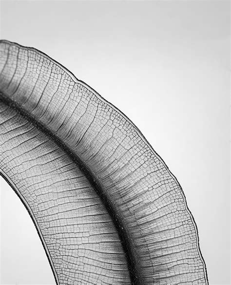 The New Era Of ChatGPT The Powerful GPT Turbo Revealed Oksuro