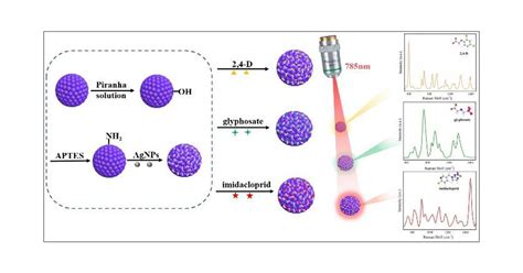 Simultaneous Label Free And High Throughput Sers Detection Of Multiple Pesticides On Agthree