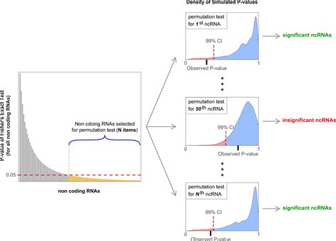 A Schematic Of Permutation Process To Identify Significantly Mutated