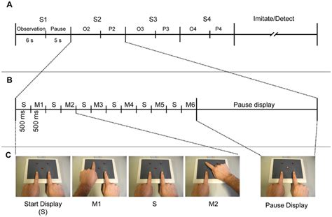 Schematic Overview Of The Task Structure A Each Trial Consisted Of 4