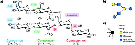 A A Generic Glycan Illustrating The Structural Features Which Lead To