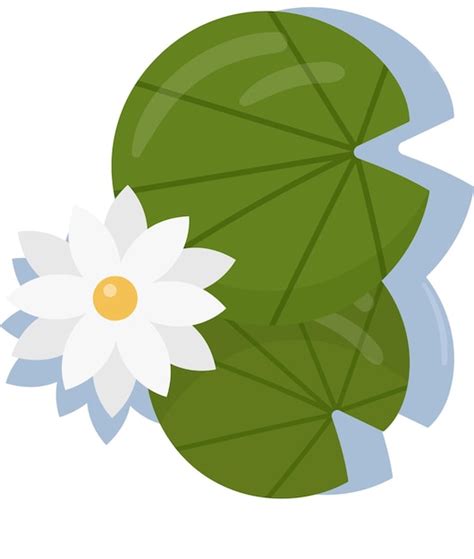 Premium Vector Lilly Flower Plant