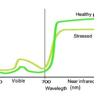 General Spectral Response Provided By Healthy And Stressed Vegetation Download Scientific
