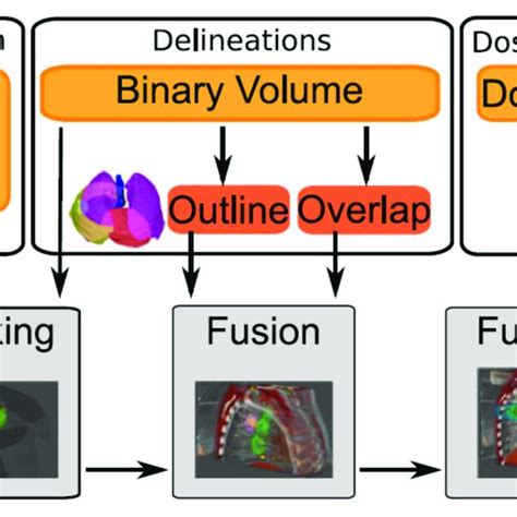 Example Of Image Sources Volume Rendering Or Segmentation From