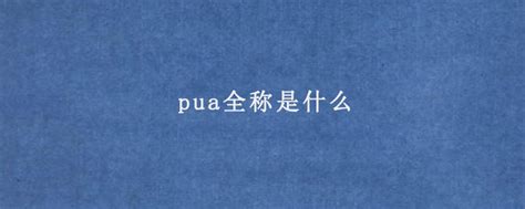 pua全称是什么 AEIC学术交流中心