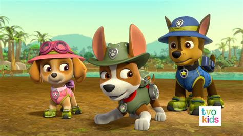 Tracker Paw Patrol Relation Ship Wiki Fandom