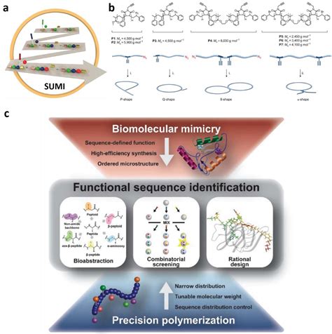 geared toward applications a perspective on functional sequence
