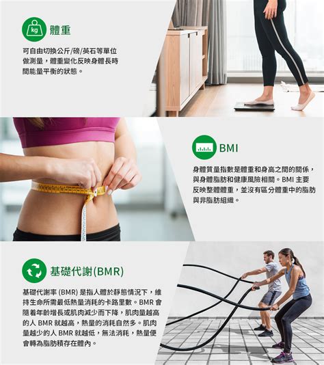 德國 Medisana 藍牙七合一多功能體脂計 Bs 310 Connect 藍 送永信hac綜合b群鋅錠30粒 蝦皮購物