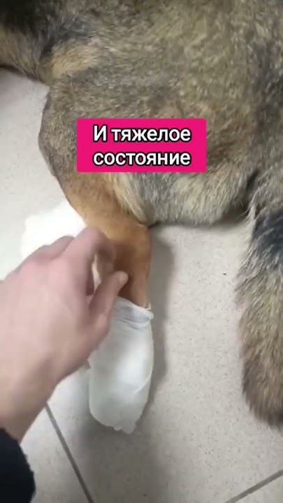 🆘️Ищем куратора для спинальника‼️ КАЛАЧЕВСКИЙ РАЙОН Над ним издевались и прострелили позвоночник