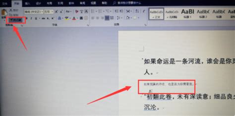 Word文档如何多次使用格式刷 360新知